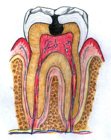 Pulpit - Medibas – Kunskapsstöd för hälso- och sjukvårdspersonal